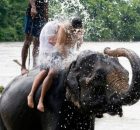 Names of Nepali Vegetables - English to Nepali - Mero Kalam